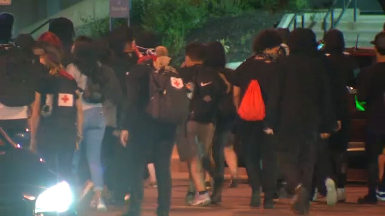 Protest Organizers Calling for Dropped Charges After 30 Arrests in ...