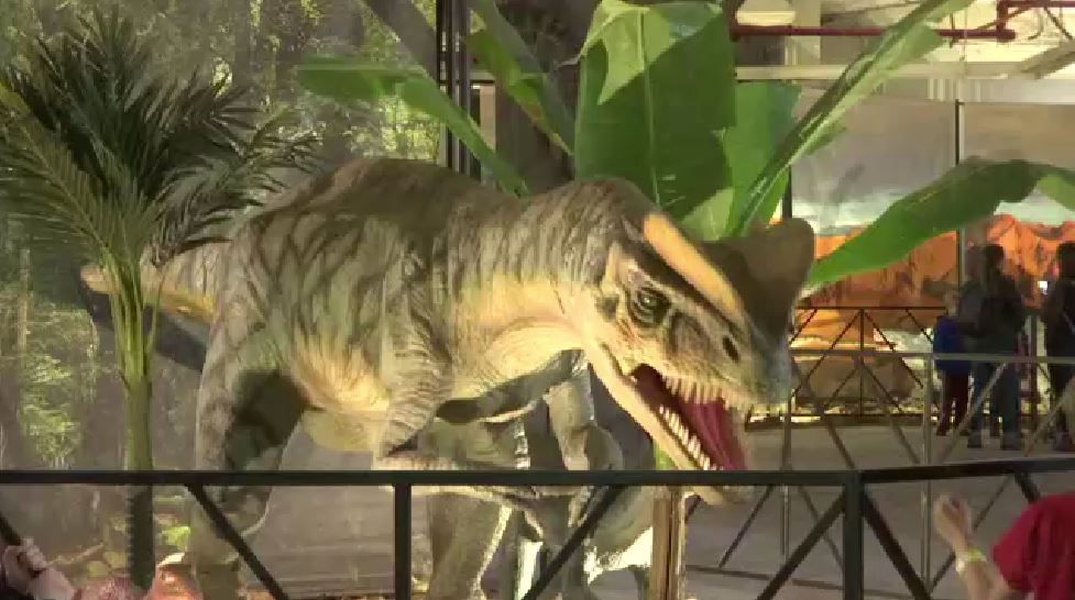 Rawr! Dinosaurs visit state fairgrounds