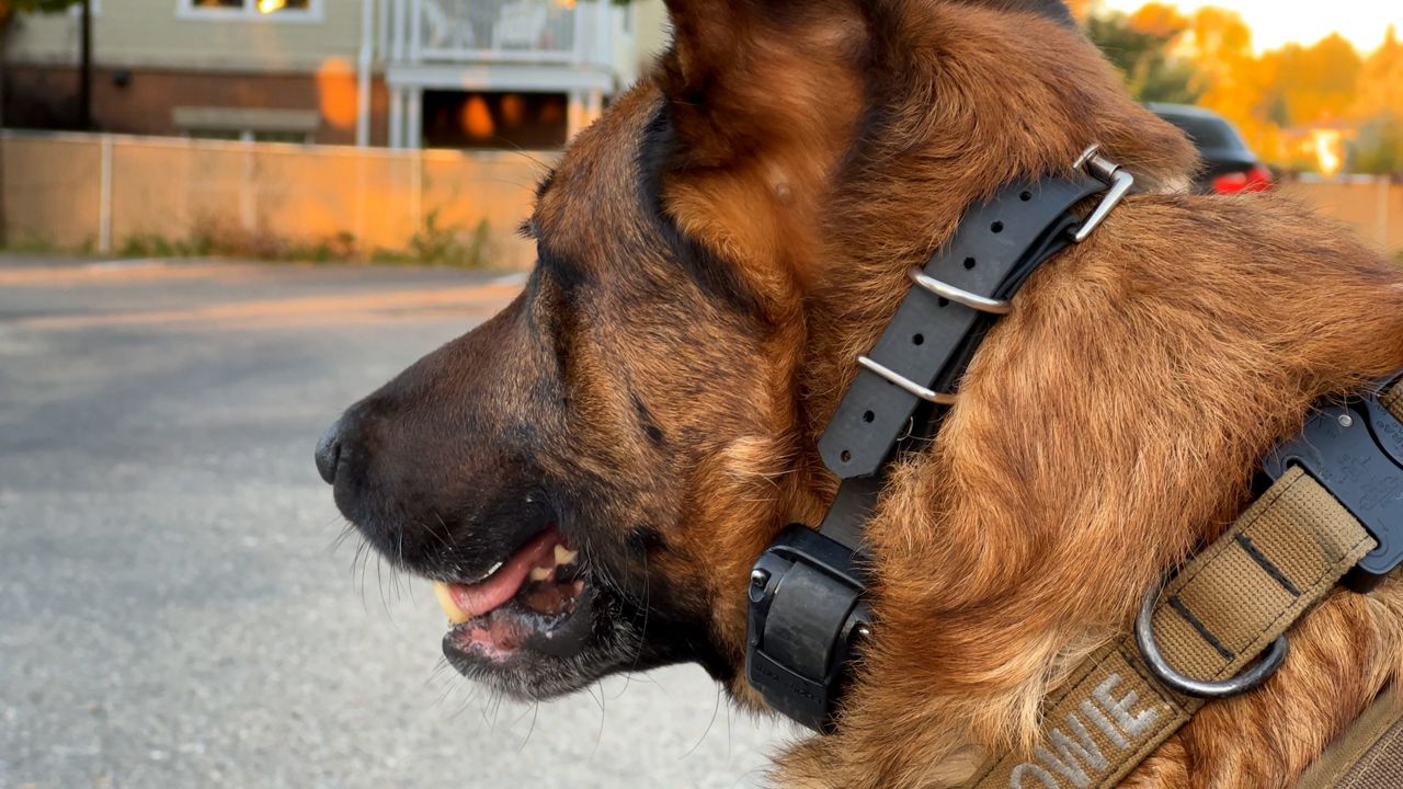 Madison Police receive bulletproof vests for K-9 Unit