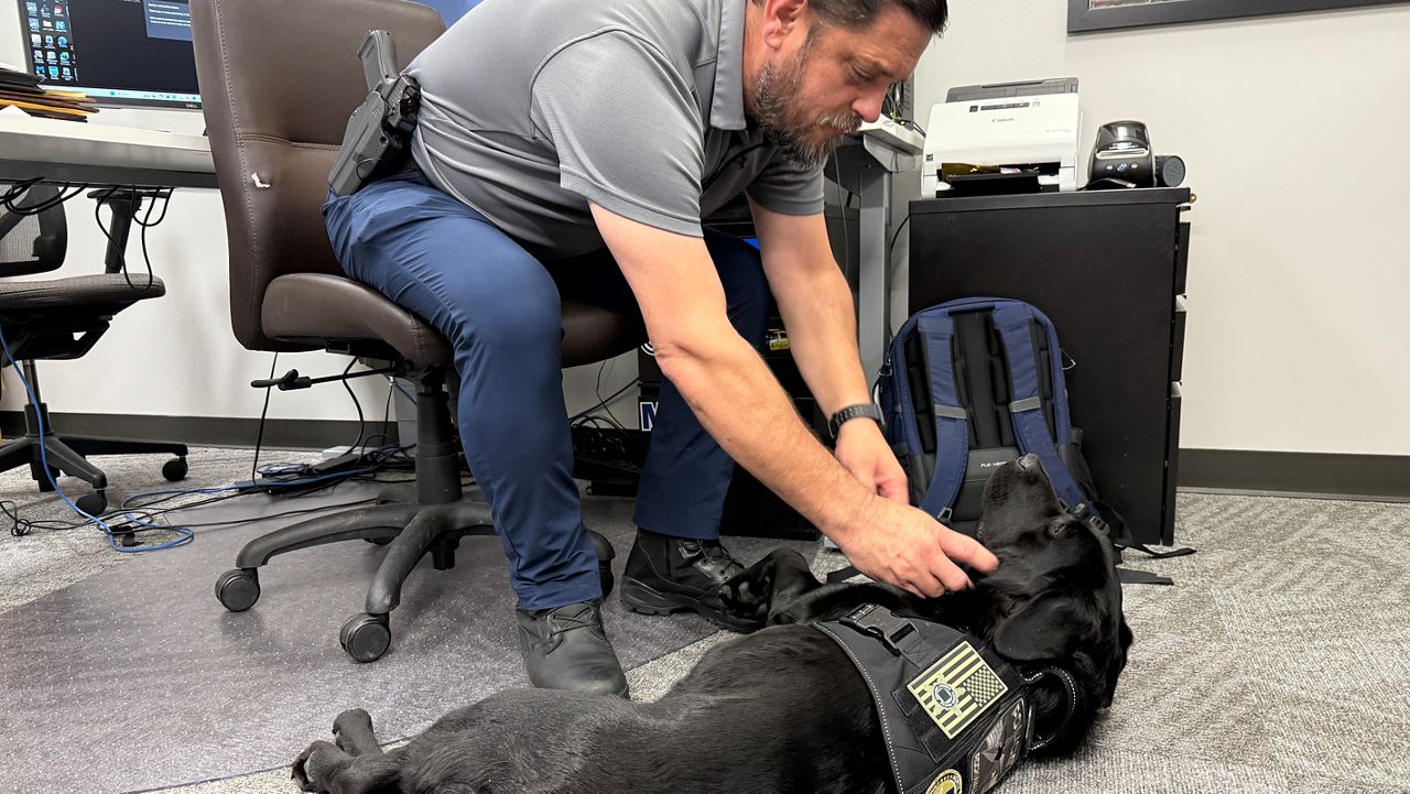 Police in Texas enlist K-9s to combat child exploitation