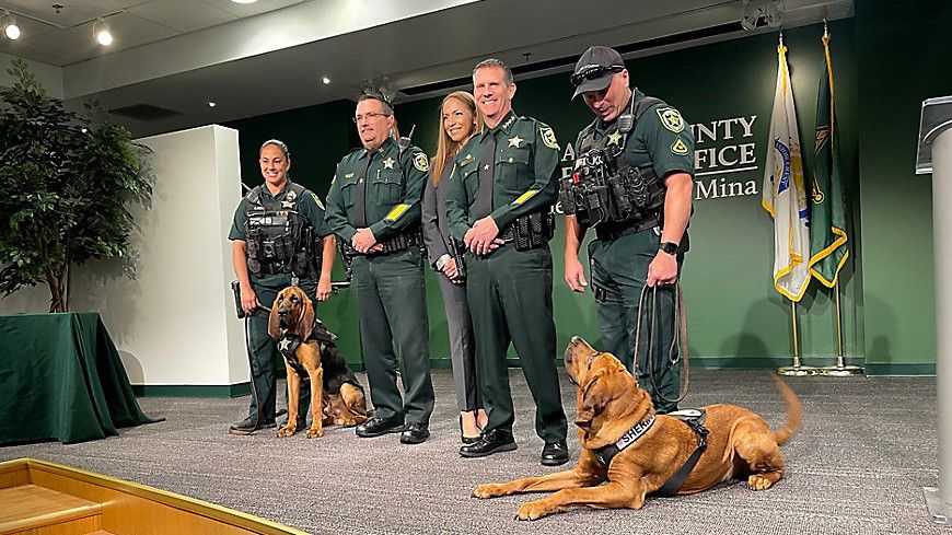 Partnership to improve search for missing people