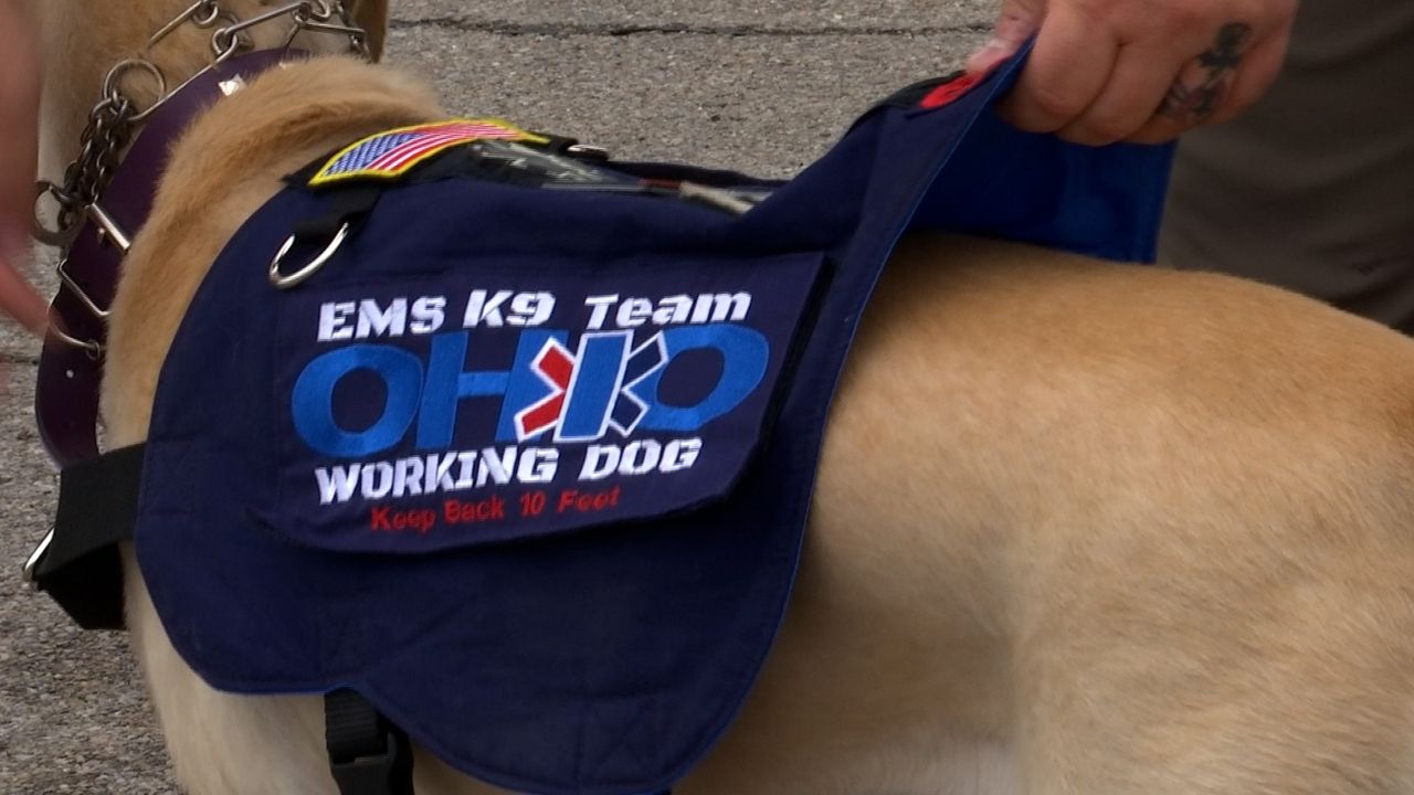 New vehicle to help nation’s first K9 EMS team expand role