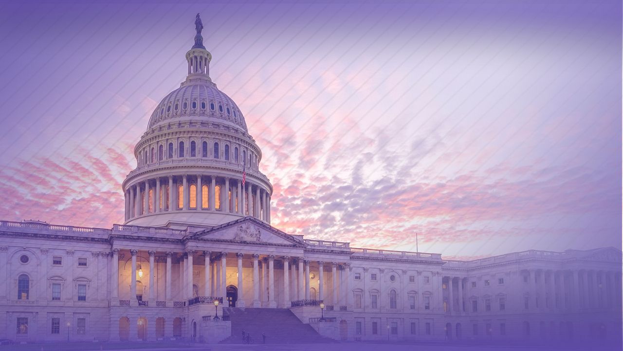 A look at the candidates in NY-22 primary