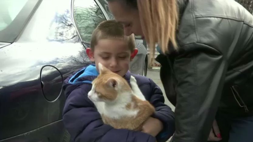 5-Year-Old Reunited With Cat That Had Gone Missing