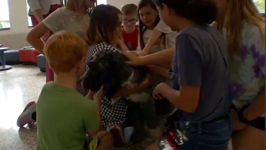 In This School, Dogs Are Therapeutic And Part of the Curriculum