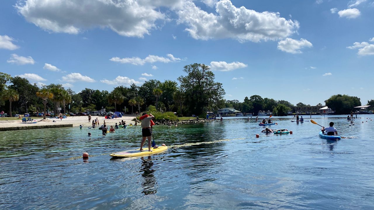 Expert: King's Bay cleanup moving forward