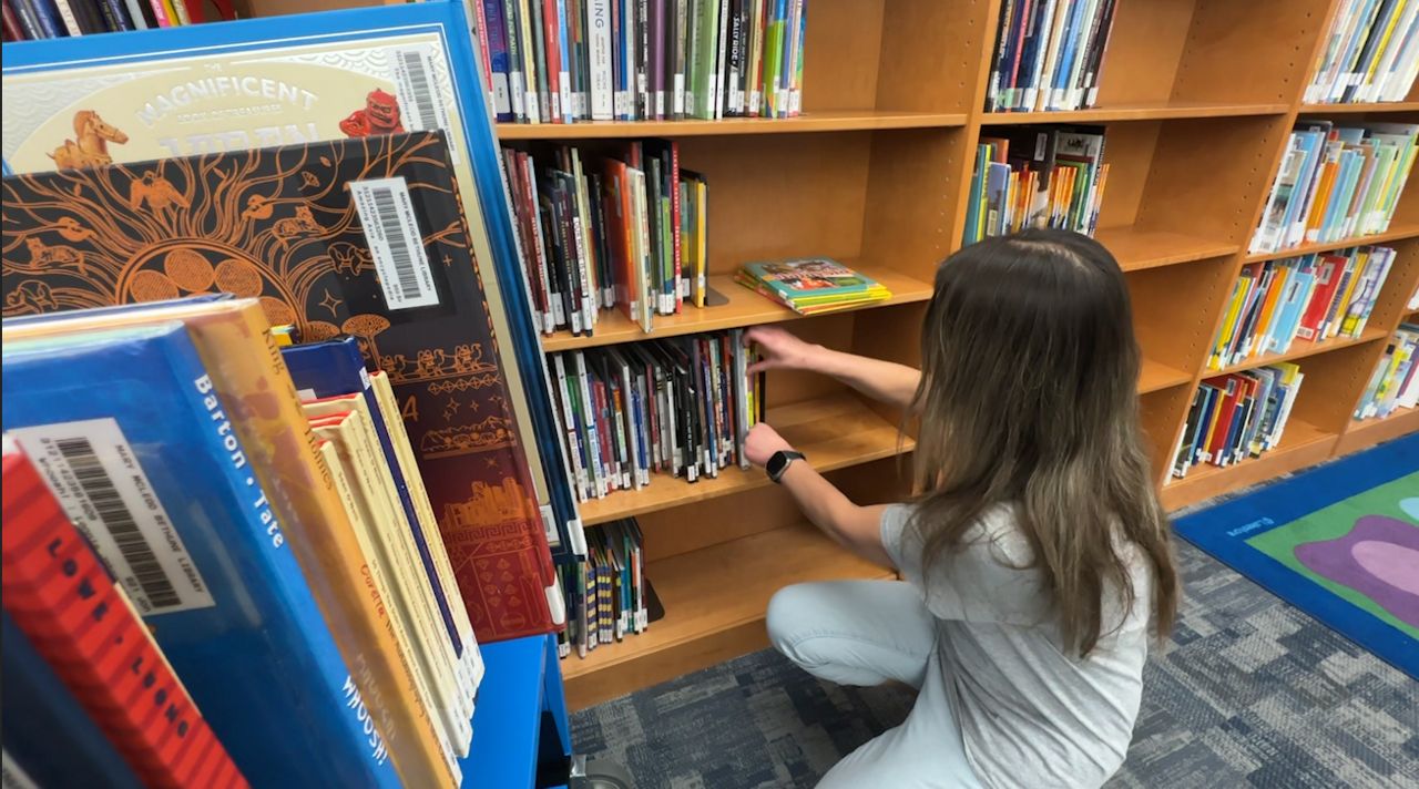 Librarian revamps school library, creates story of success