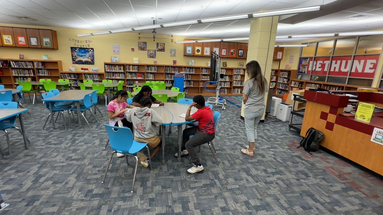 Librarian revamps school library, creates story of success