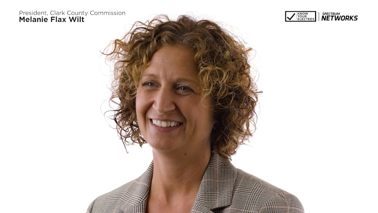 Know Your Electeds Clark Cty Commissioner Melanie Flax Wilt