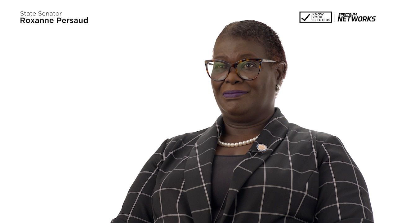 Know Your Electeds New York State Senator Roxanne Persaud