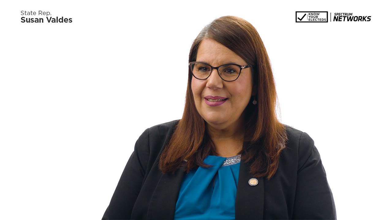 Know Your Electeds FL State Representative Susan Valdes