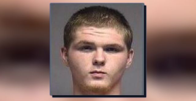 Teen accused of killing aunt's dog sentenced