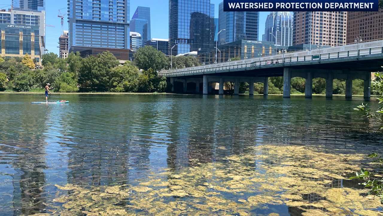 Austin’s toxic algae bloom makes 10 worst of 2023