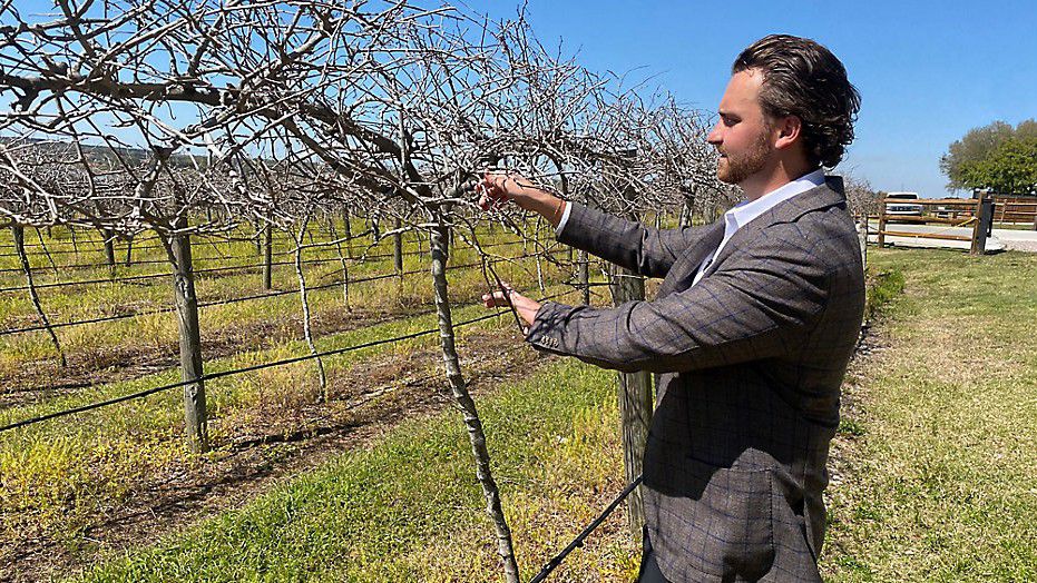 5 things to know about Lakeridge Winery