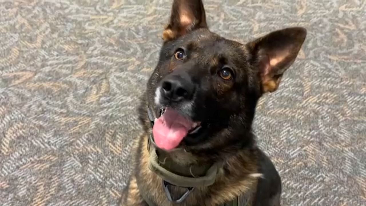 Largo PD K-9 unit celebrates 50 years