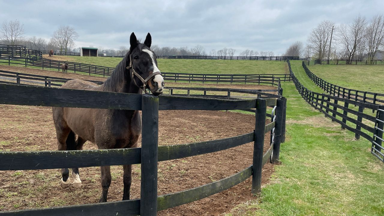Old Friends horse retirement farm getting a new look