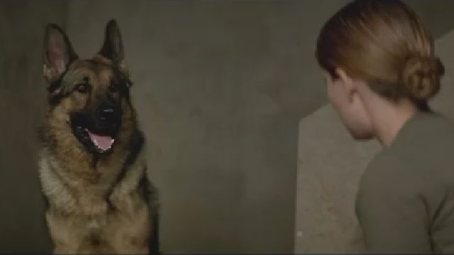 'Megan Leavey' Premieres at Yankee Stadium