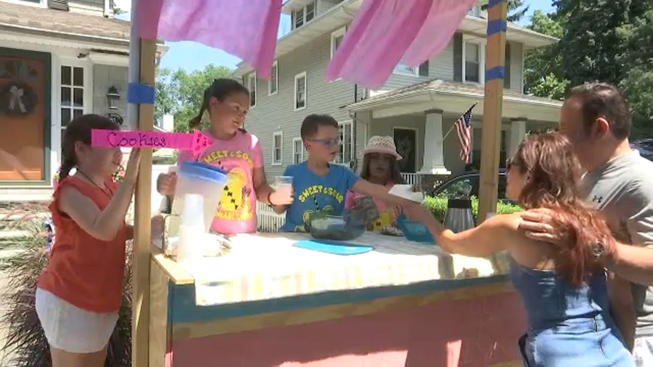 Kids create lemonade stand to raise money for homeless dogs