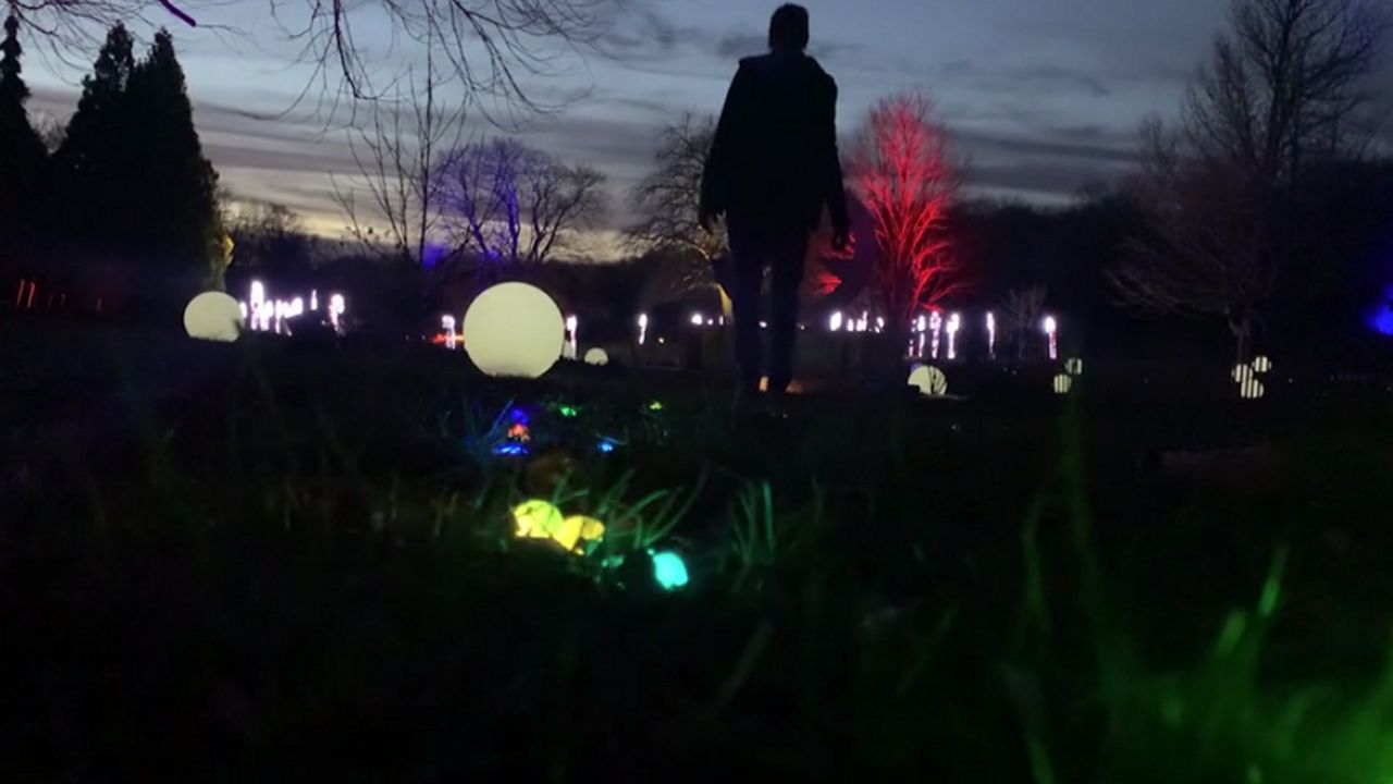Duo Brightens Up the Holidays For Wisconsinites in Need of Some Joy
