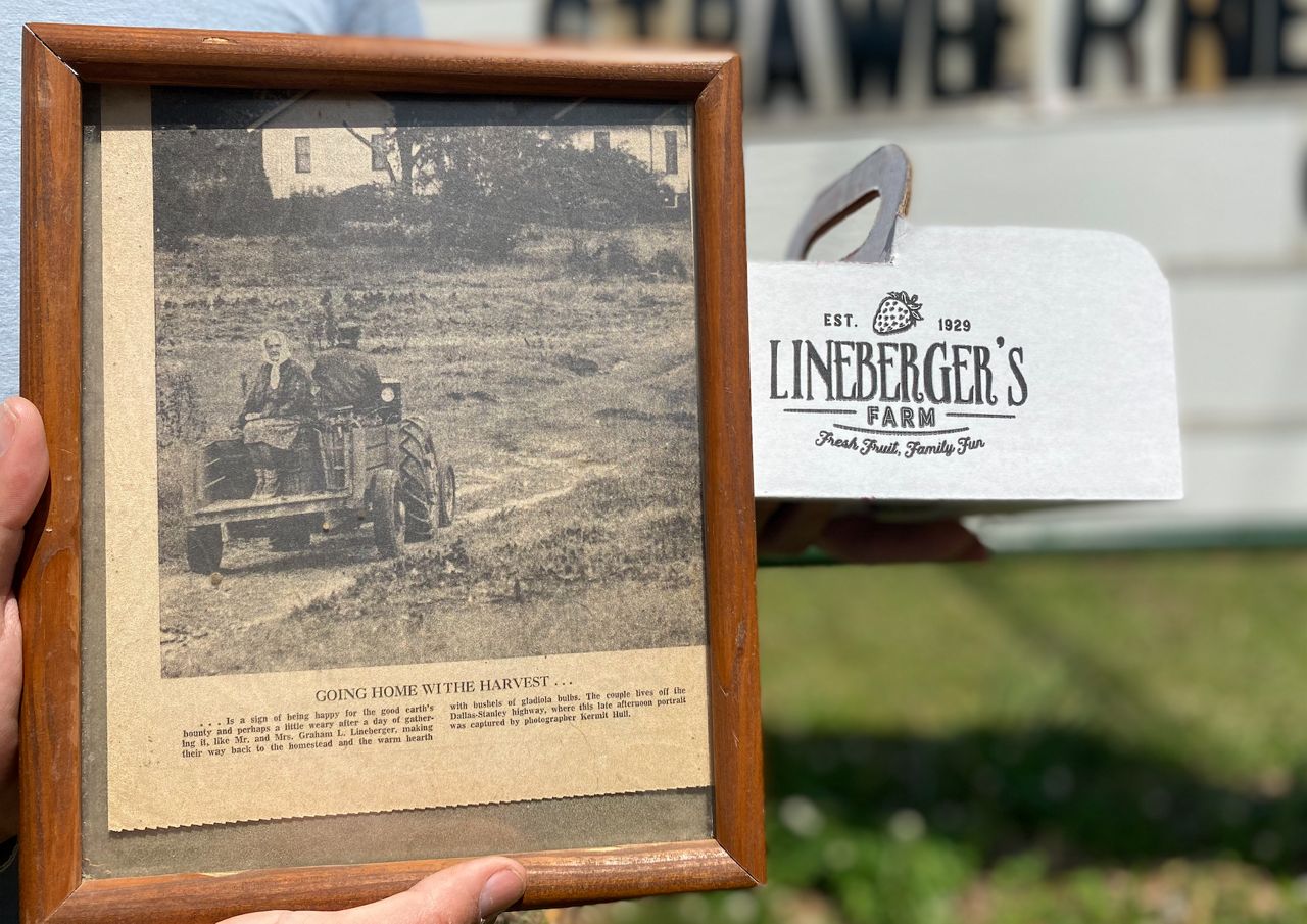 Tar Heel Treasures: Lineberger's Farm