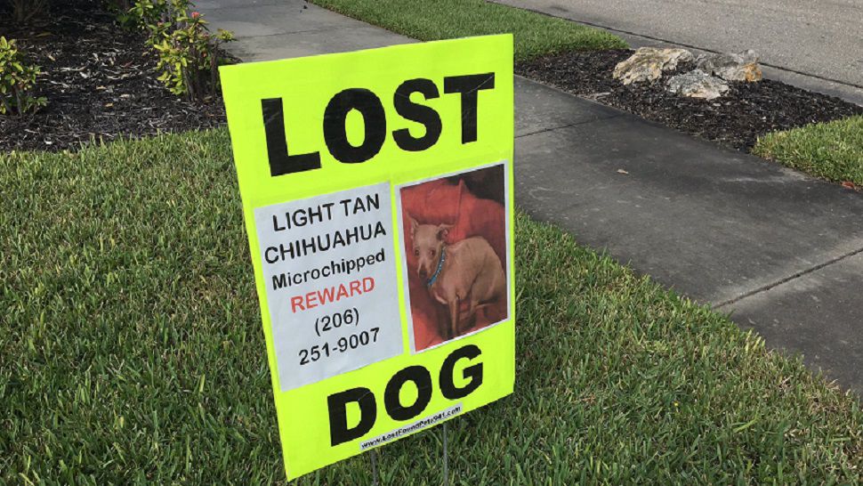 Manatee Company Sprucing Up While Reuniting Pets and Owners