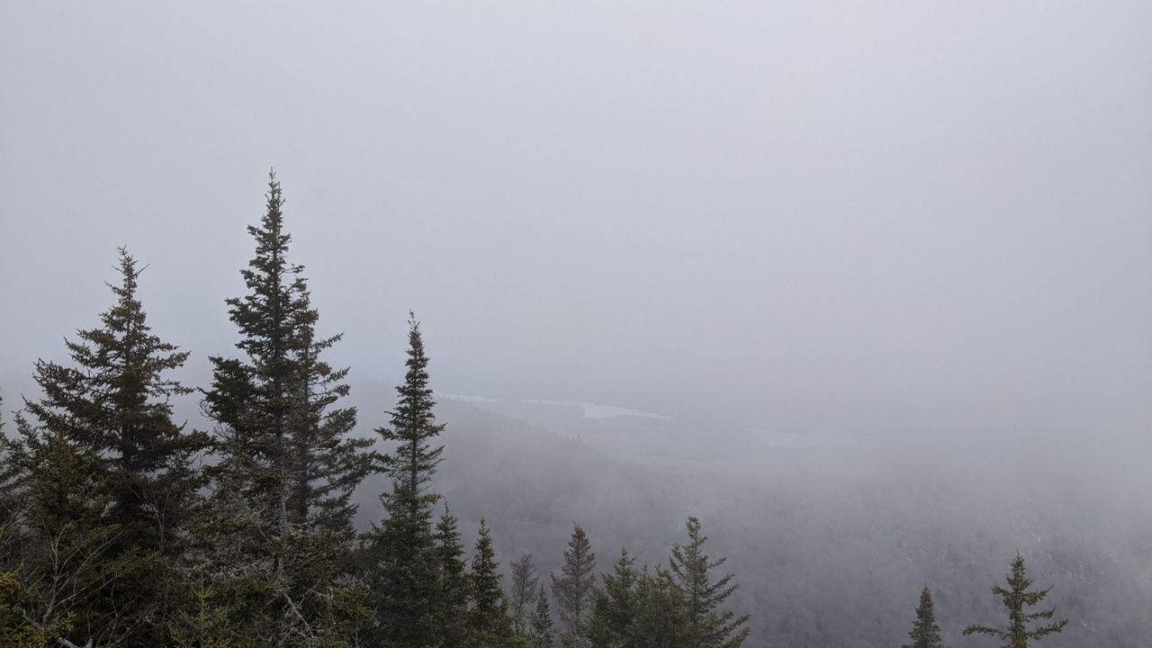 Fog Catching: Making Drinking Water Out of Clouds