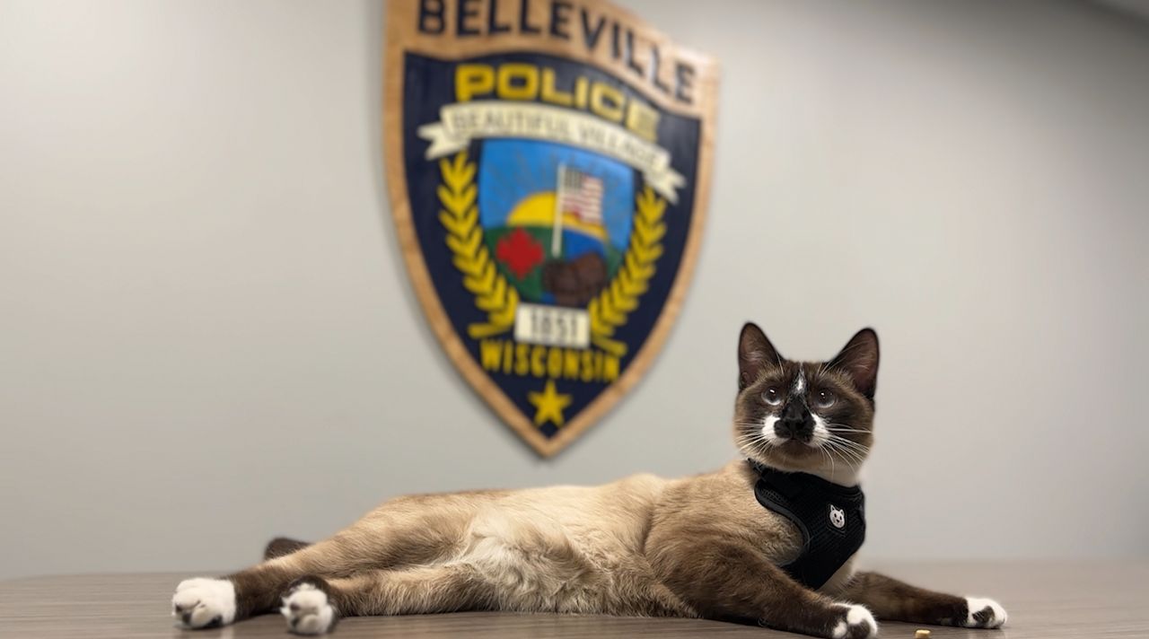 Belleville Police Department adds 'purr-fect' officer