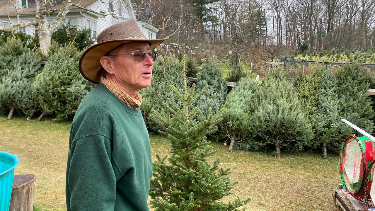 Luks Tree Farm in Auburn ready for Christmas season