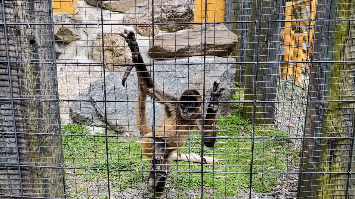 Lupa Zoo proves to be popular spot for school vacation