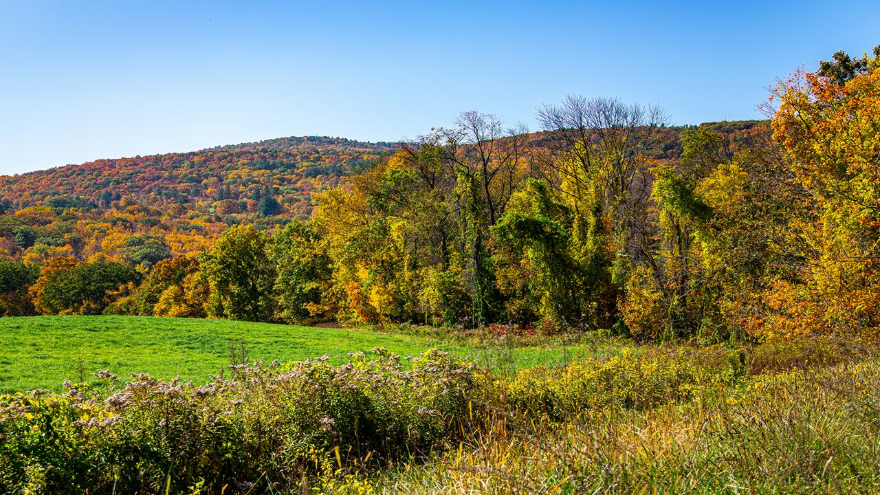 Get ready: Drought conditions will accelerate fall colors