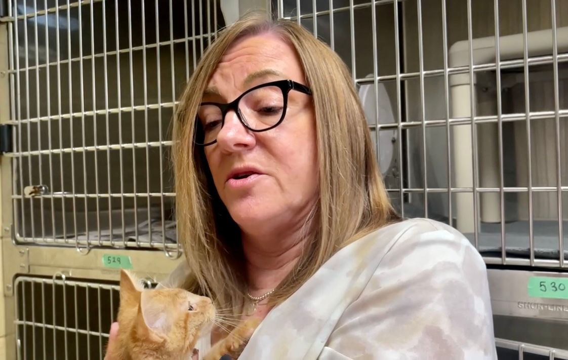 Soaring inflation leads to overloaded animal shelters