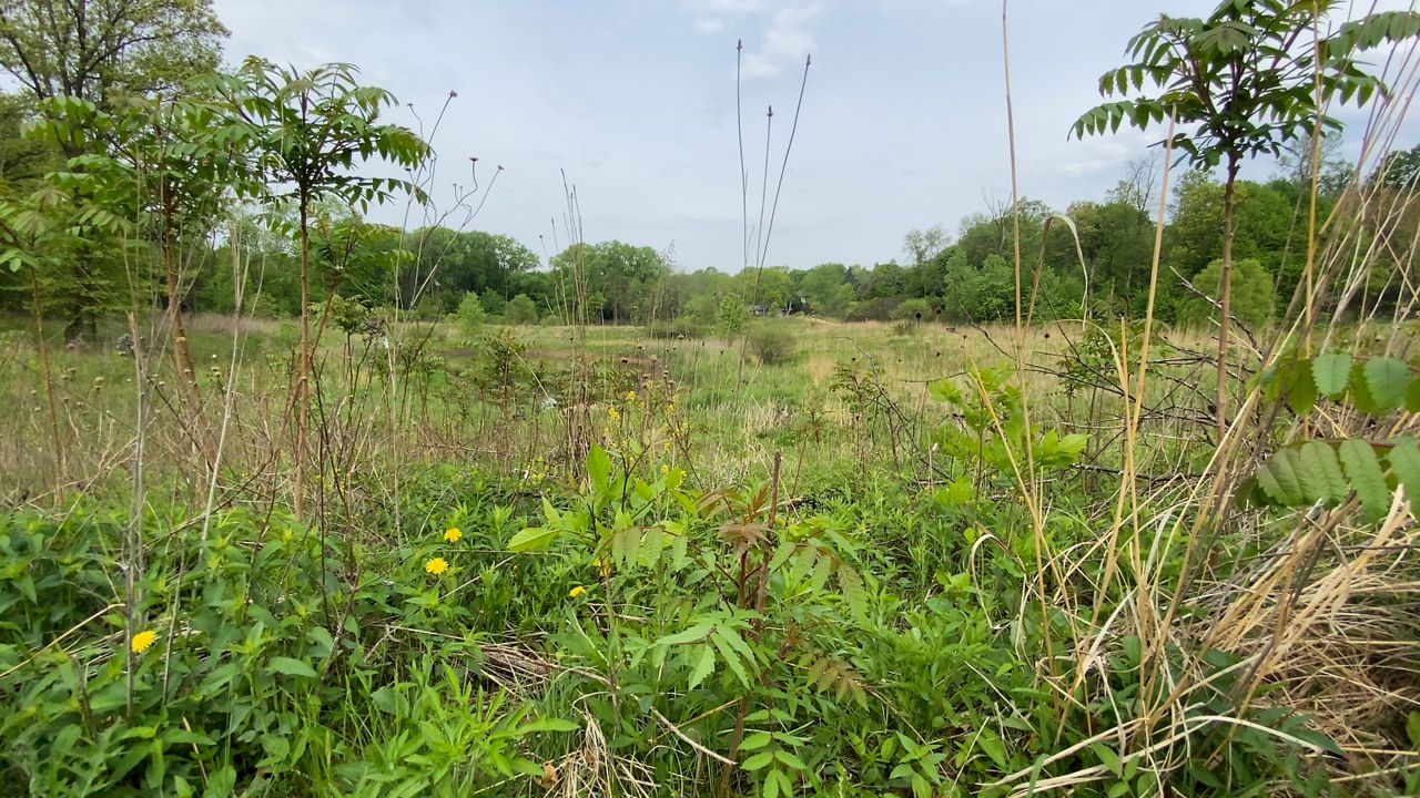 Madison celebrates 50 years of conservation parks