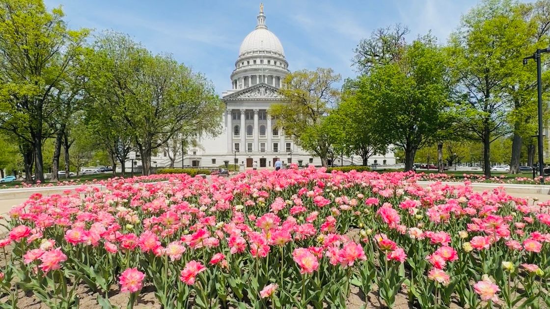 Voters oust more than a half-dozen legislators