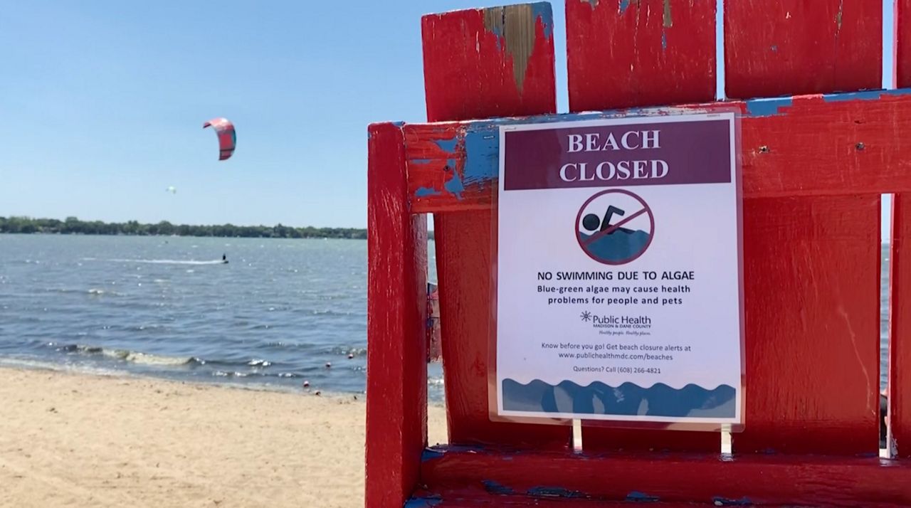Blue-green algae closes five Madison area beaches this weekend