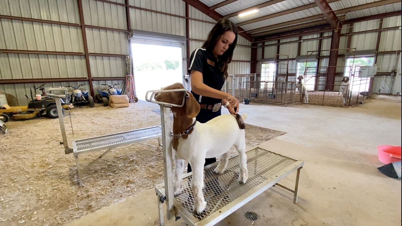 Stock Show Kids Want a Chance to Show Their Animals