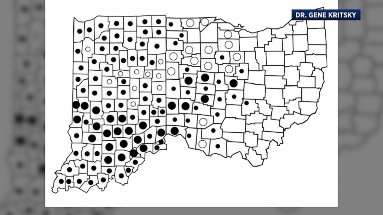 Brood X Cicadas To Return After 17 Years