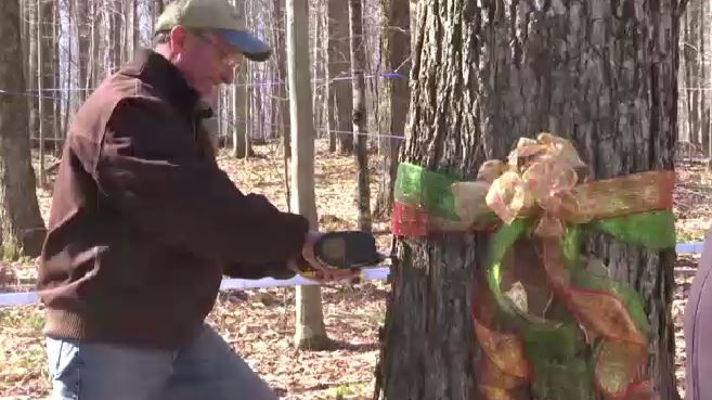 Maple Weekend Tree Tapping Ceremony Kicks Off Sweet Season in NYS