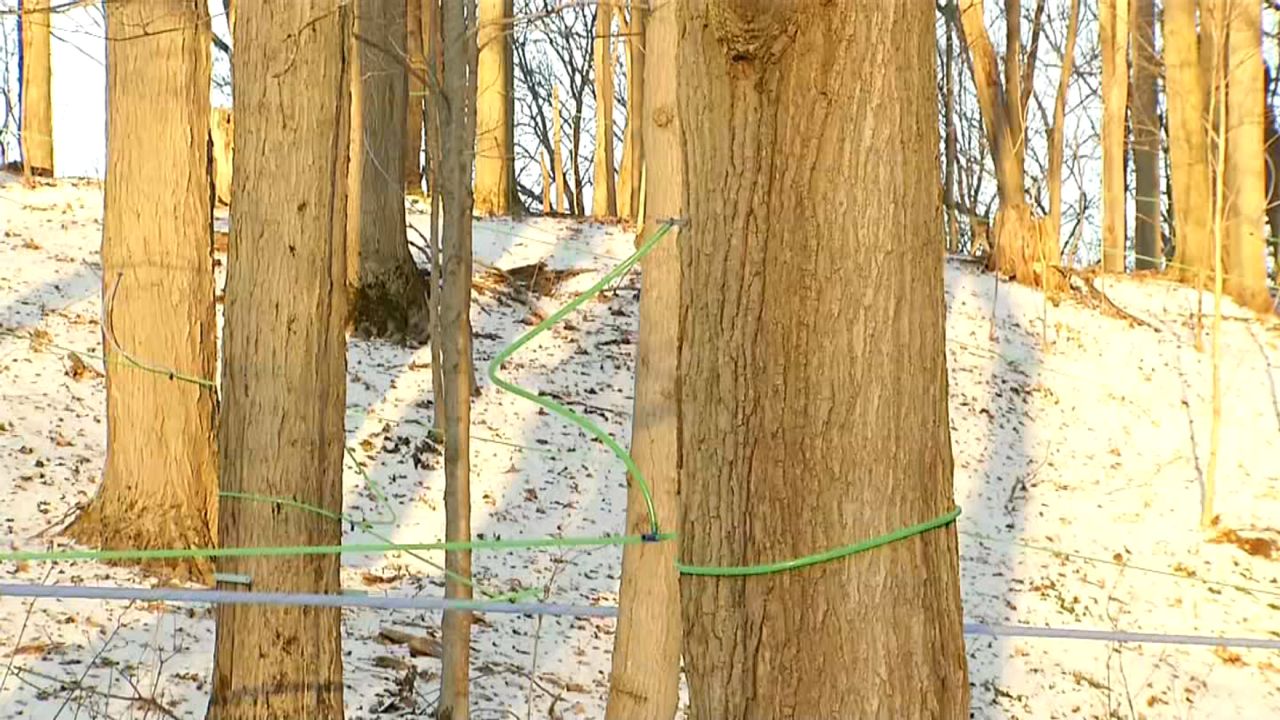 Another chance to enjoy maple products this weekend in WNY