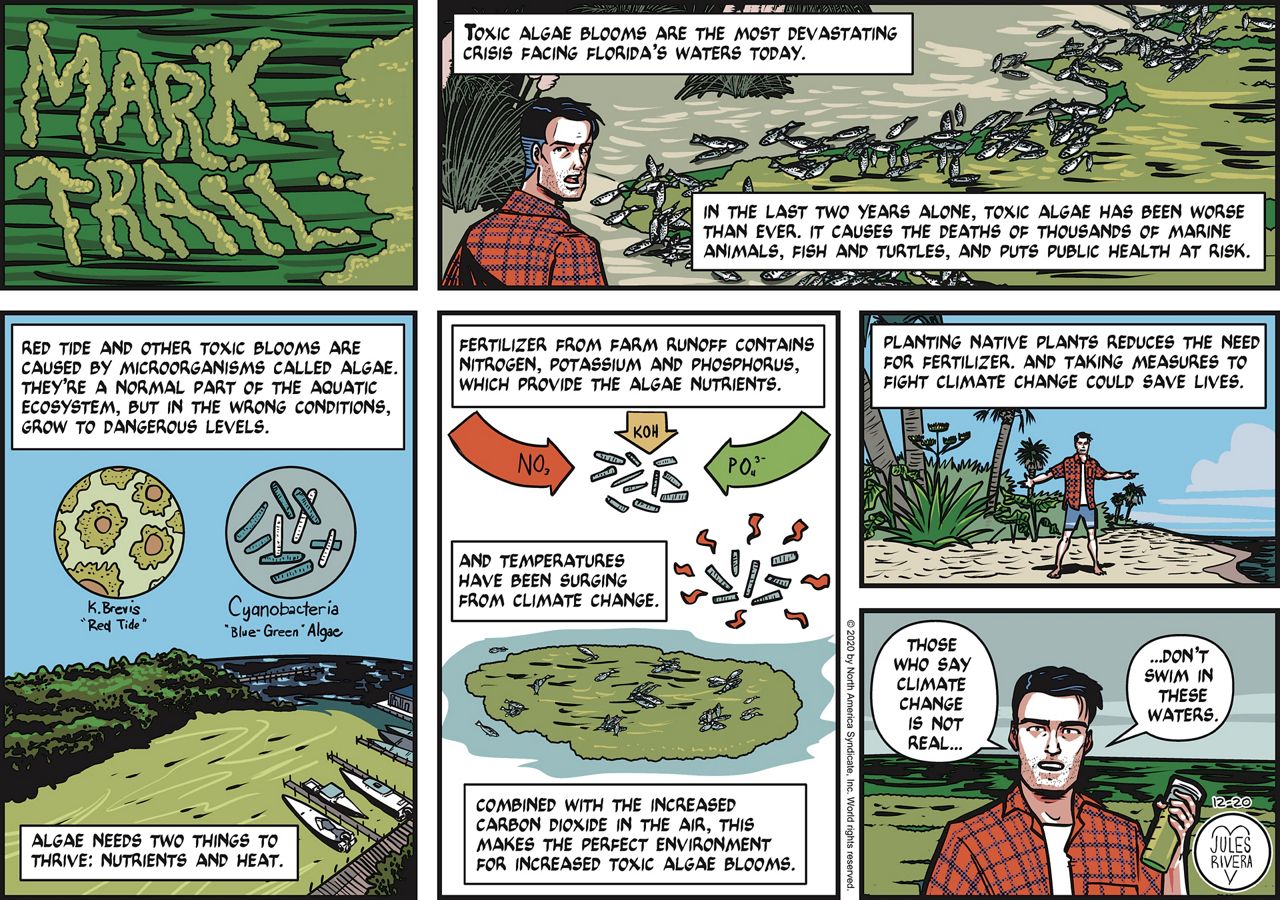 Artist Jules Rivera Takes Over Mark Trail