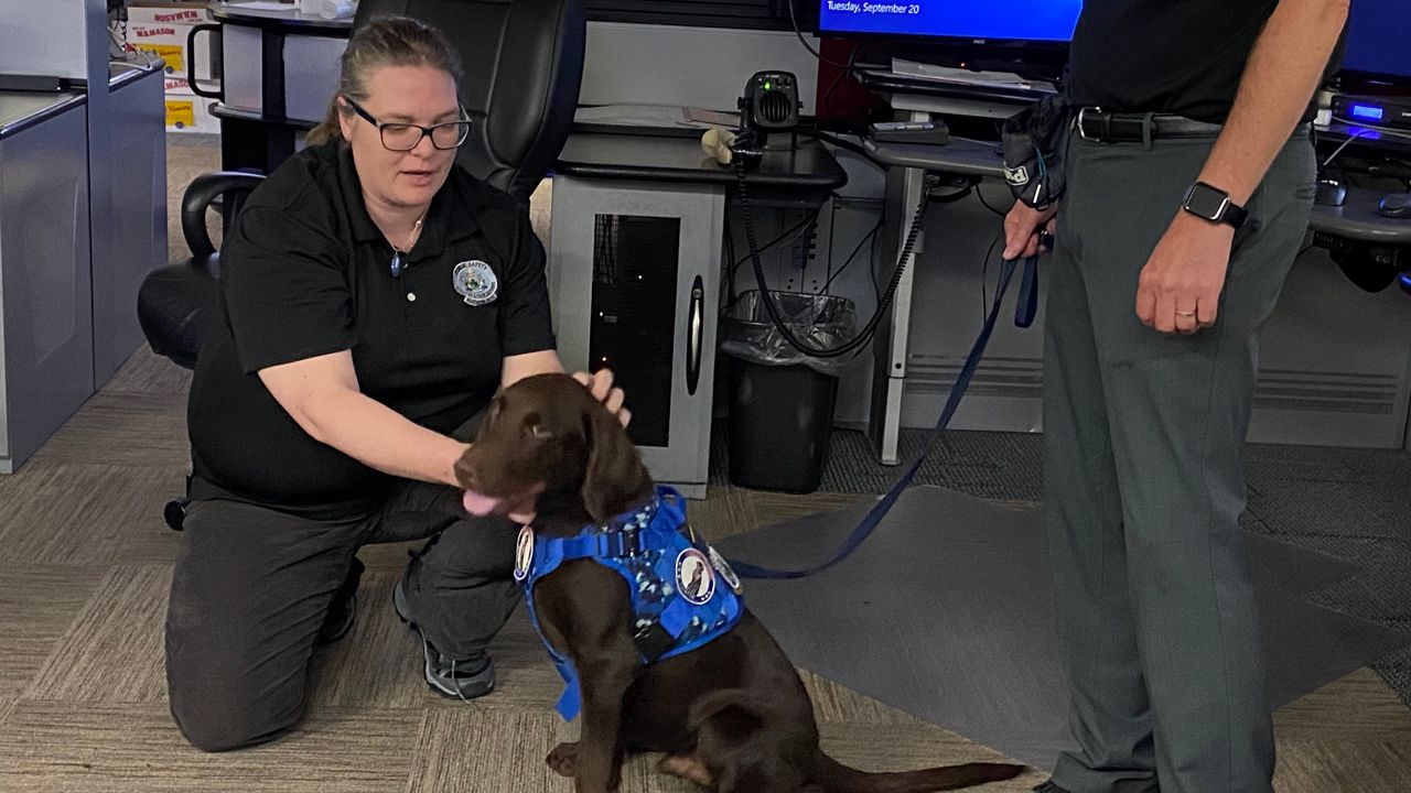 Comfort dog aims to help dispatchers