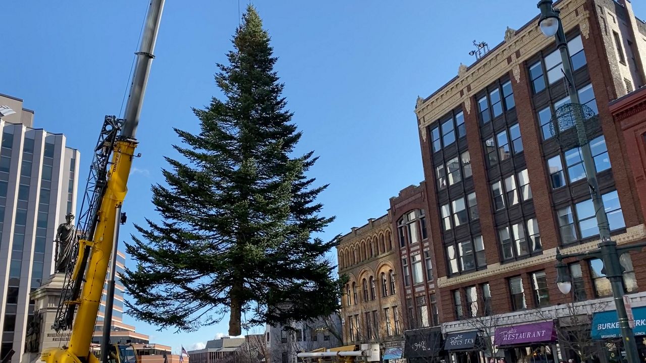Portland puts up tree in Monument Square