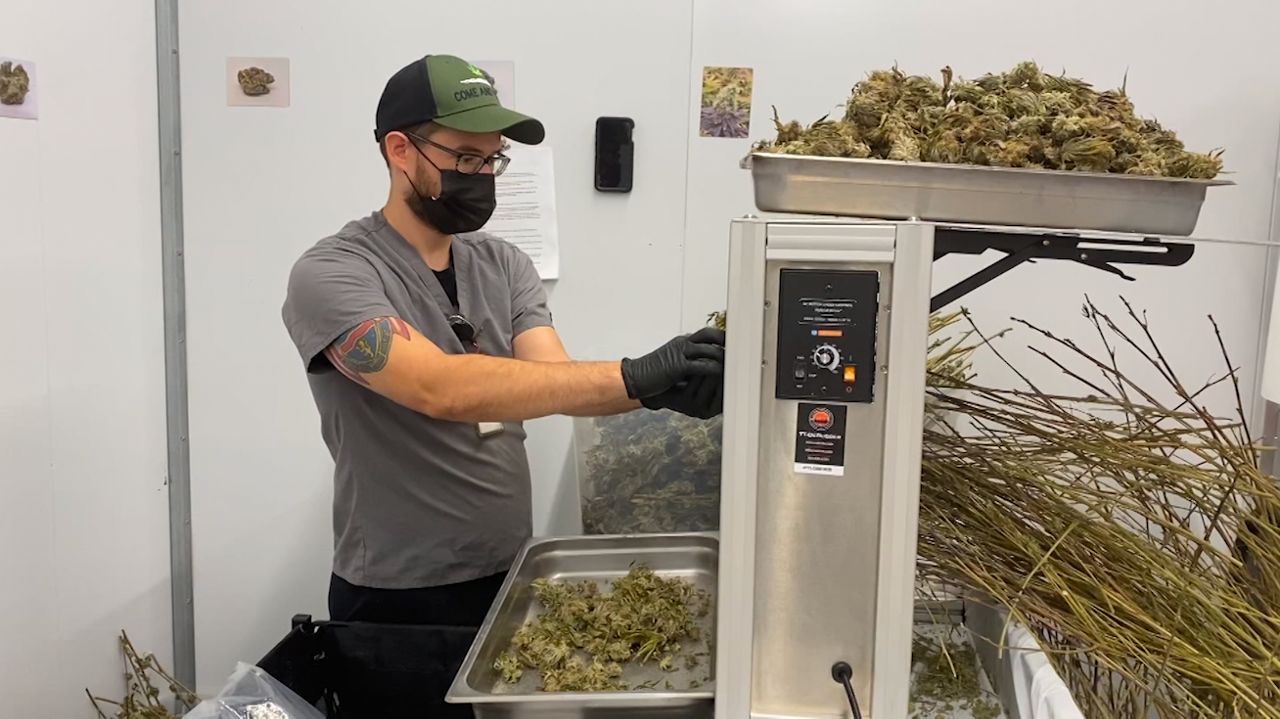 medical marijuana businesses can expand