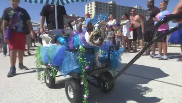 Poseidon’s Parade Celebrates End of Summer in Rockaway Beach