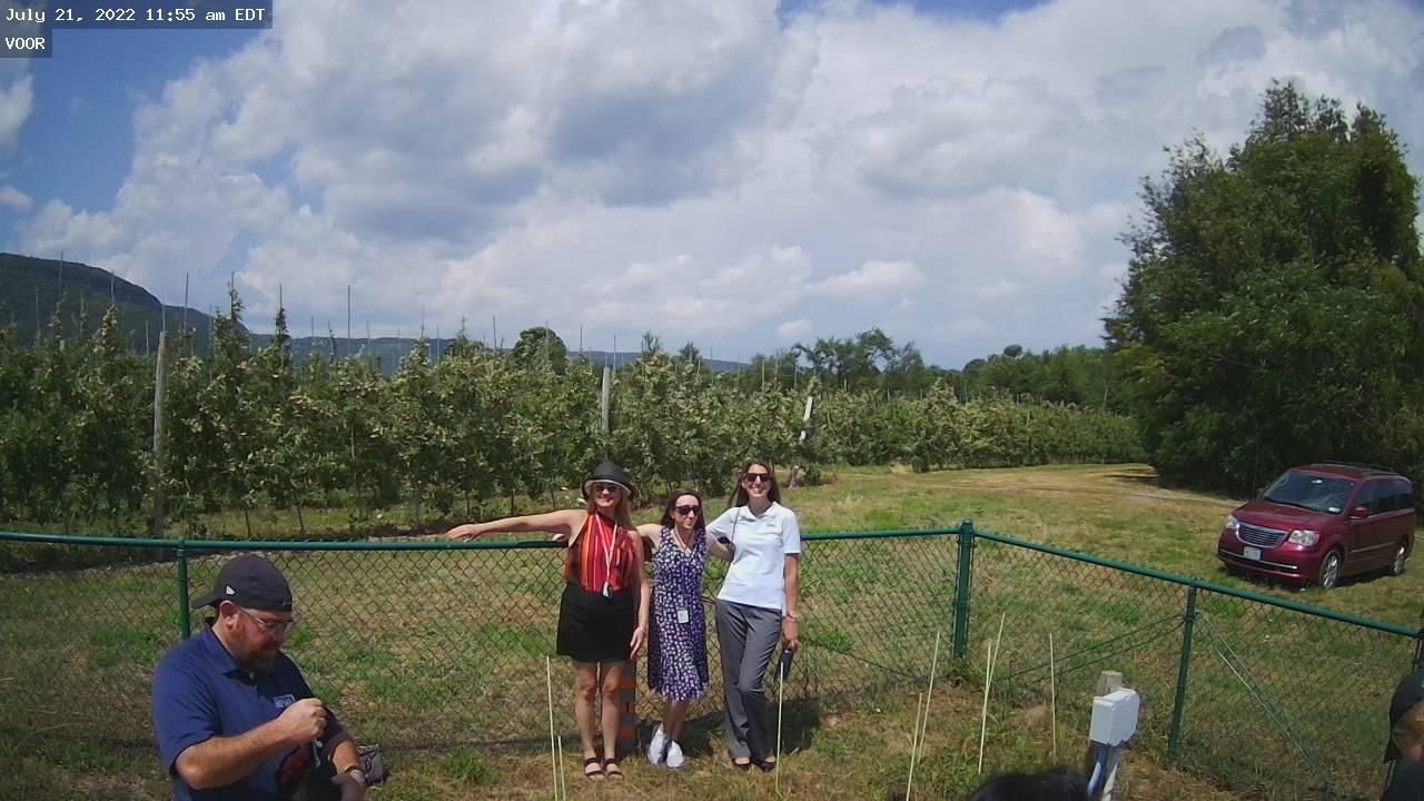 The importance of the New York State Mesonet