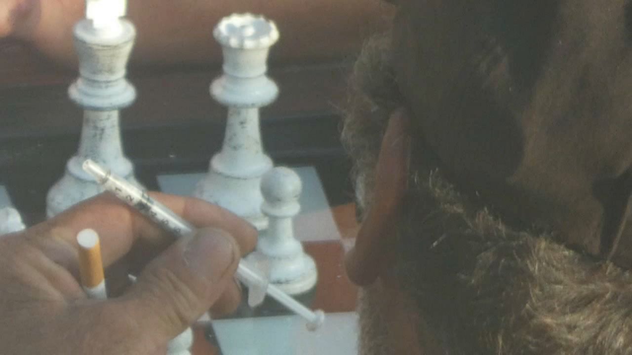 Methamphetamine Users Taking Over Santa Monica Park