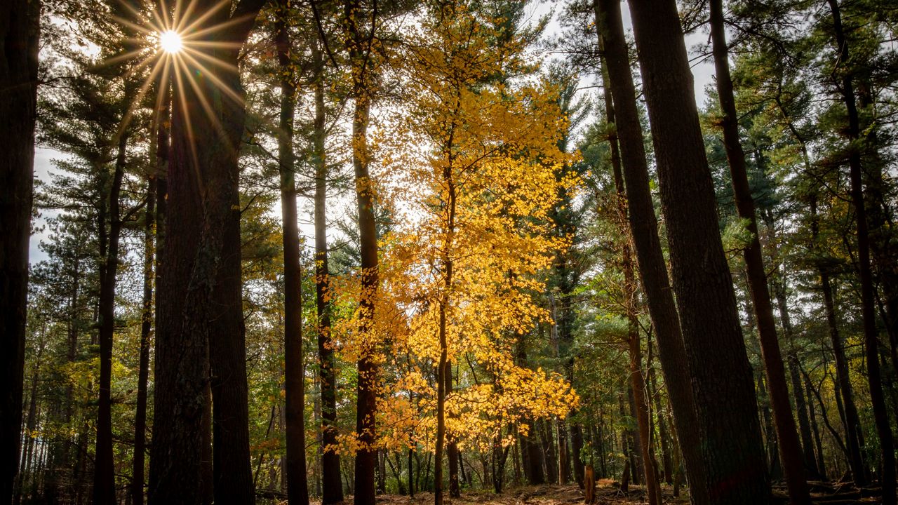 Your guide to fall hikes in Wisconsin