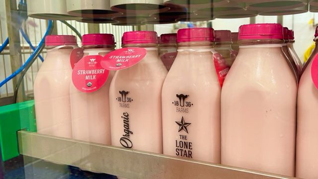 '1836 Farms' produces milk the old-fashioned way