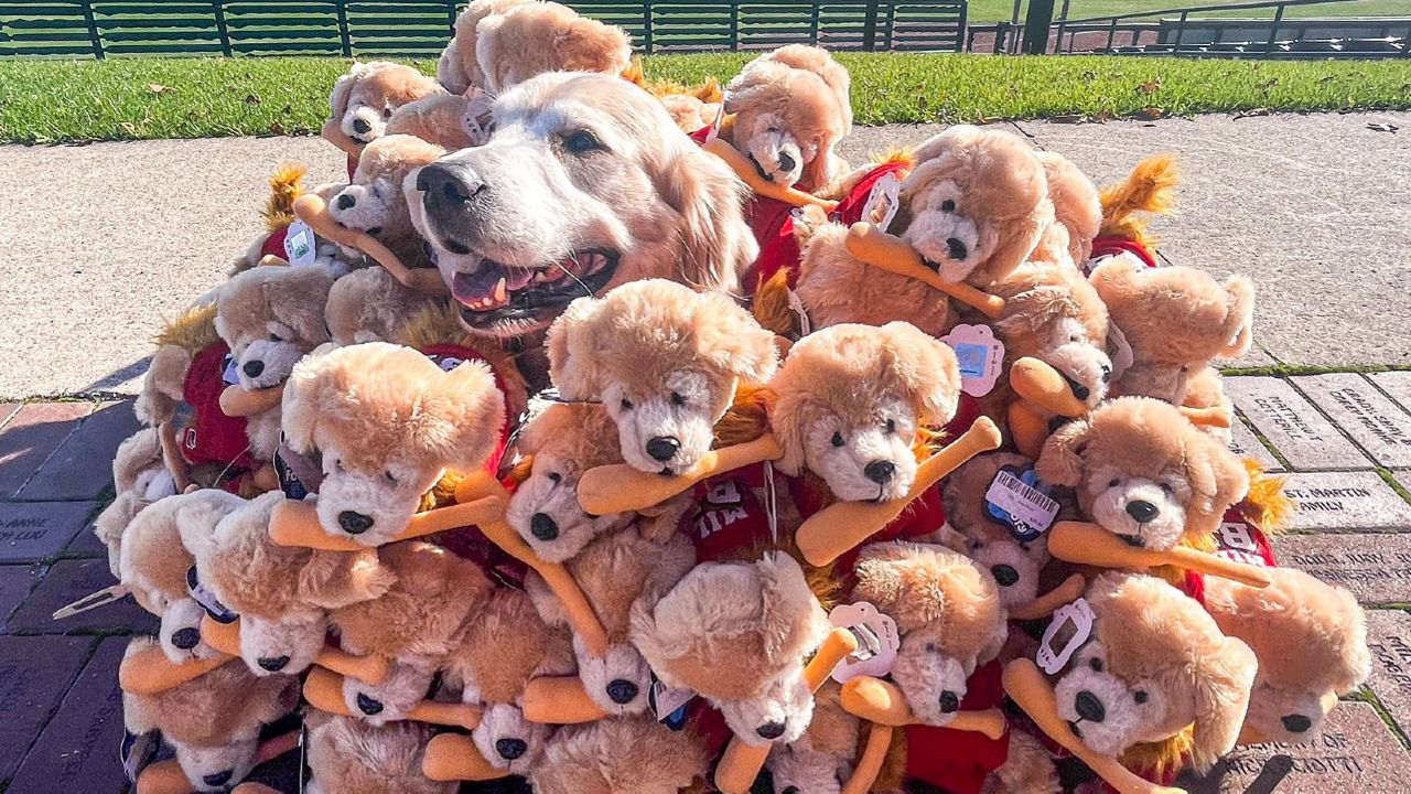 Red Wings to hold celebration of life for Milo the Bat Dog