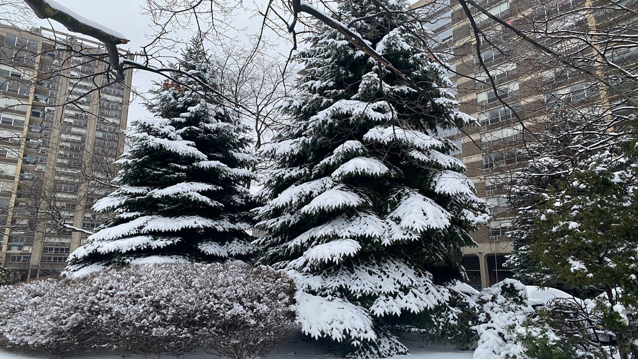 Photos: Snowy Scenes Across Wisconsin