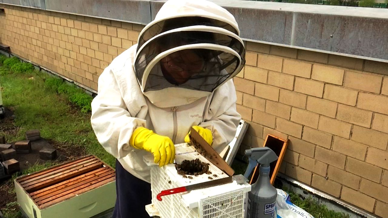 One New Yorker's Mission to Keep Beekeeping Accessible